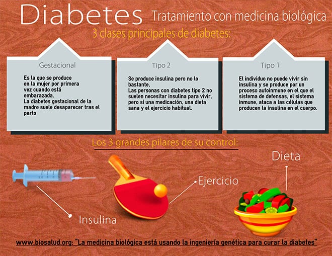 Diabetes y el tratamiento biológico de la diabetes